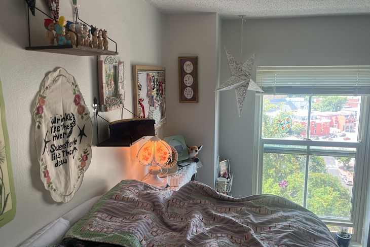Maximalist VCU Dorm with Lofted Bed Nook | Dorm Therapy