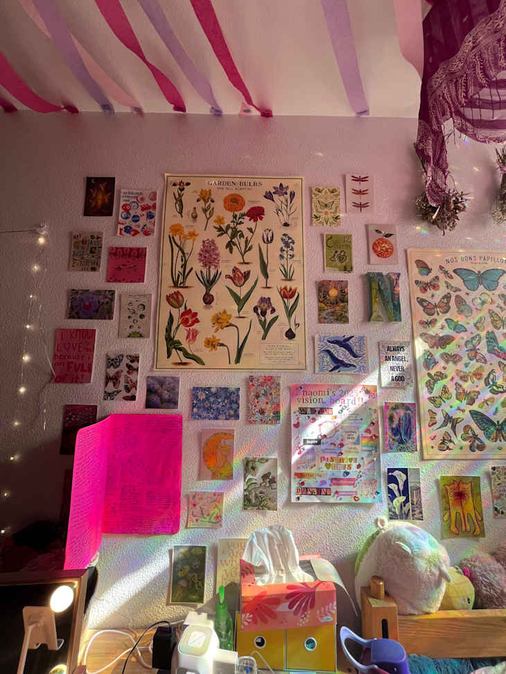 “Fancy Nancy” Inspired This Maximalist UCSC Apartment | Dorm Therapy