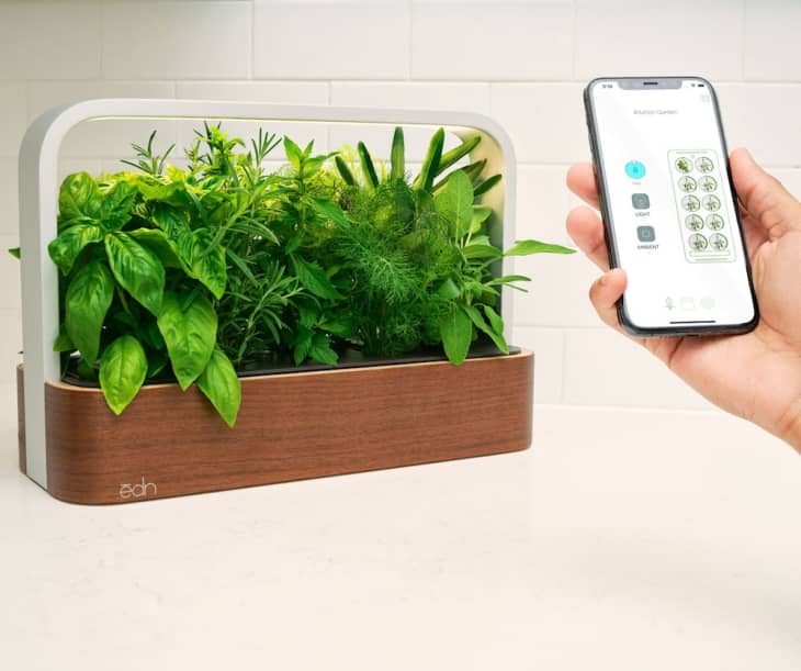 Ēdn Relaunches SmallGarden Powered By Technology | Apartment Therapy