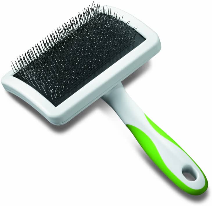 The Best Vacuums (And Other Tools!) For Cleaning Up Pet Hair | The Kitchn