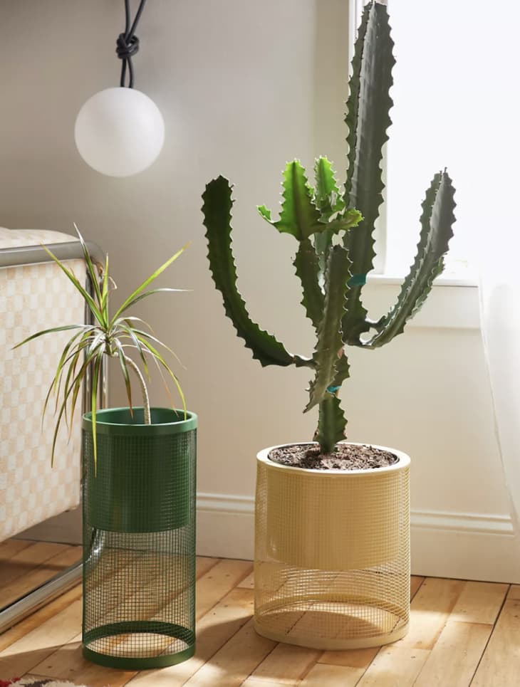 Best Urban Outfitters Home Finds for Fall: Furniture, Storage Solutions ...