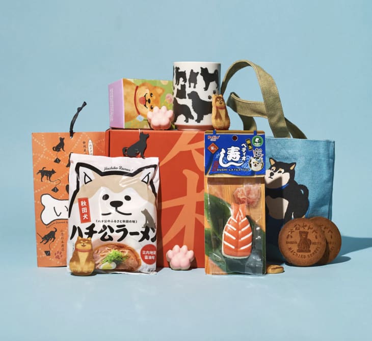 Best Editor-Picked Pet Products of 2022 for Cats, Dogs, and More ...