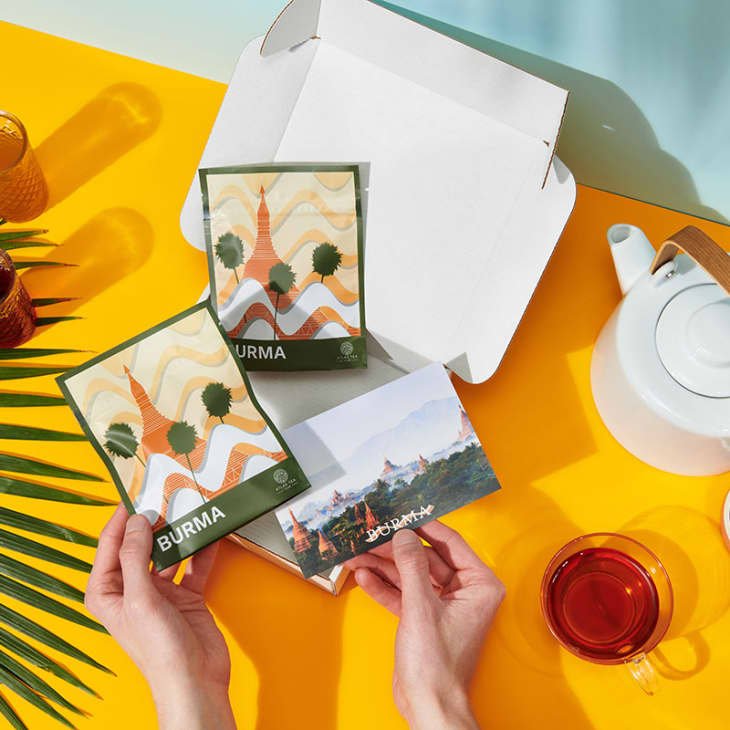 Atlas Tea Club Review: The Best Tea Subscription Box | Apartment Therapy