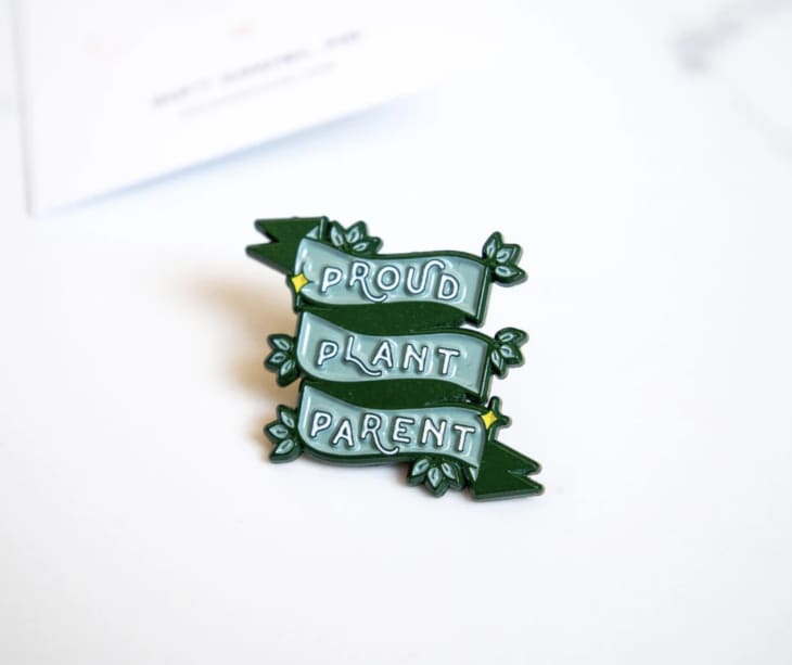 48 Best Gifts for Plant Lovers and Green Thumbs in 2022 | Apartment Therapy