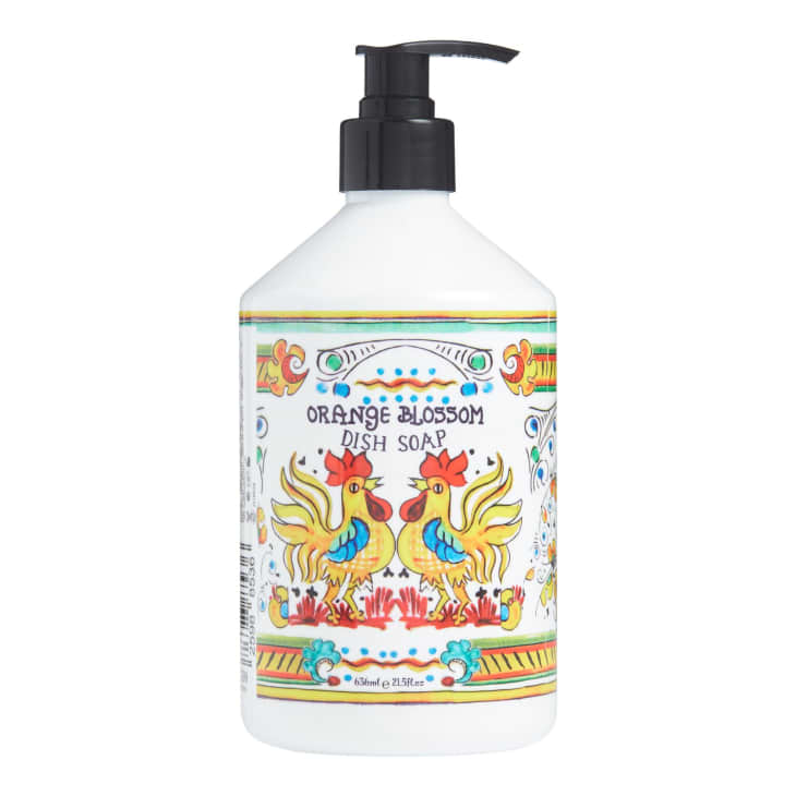 Deruta Italian Dish Soap Review | The Kitchn