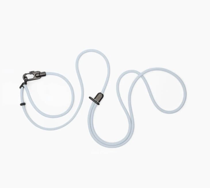 I Tried Fable's Magic Link Leash, and It's Made Walking My Dog So ...