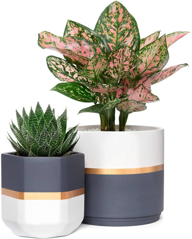 9 Awesome, Inexpensive Planters on Amazon | Apartment Therapy