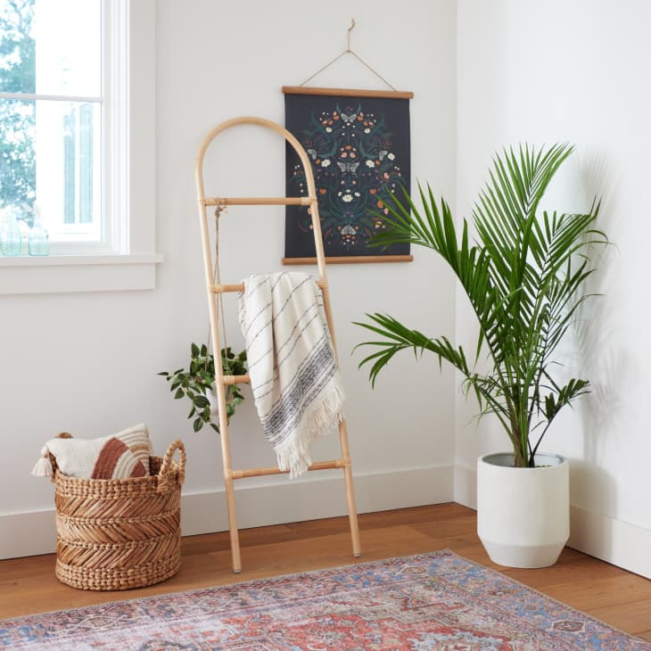 The Best Small-Space Furniture and Decor Collections You Can Shop ...
