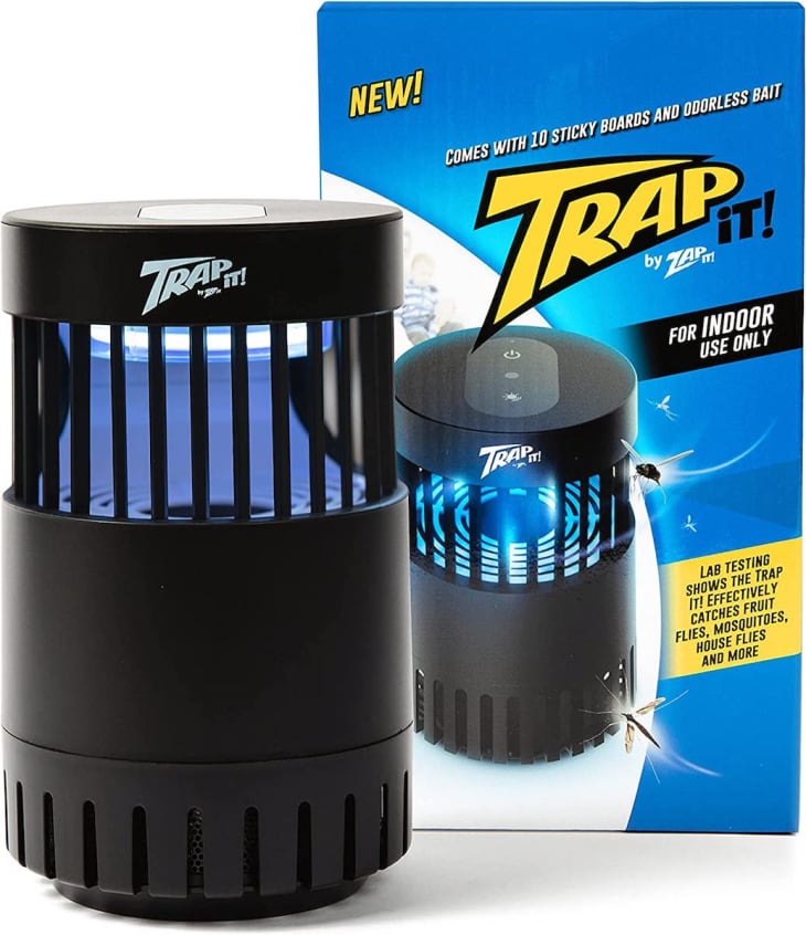 Trap It! Insect Catcher Amazon Launch | Apartment Therapy
