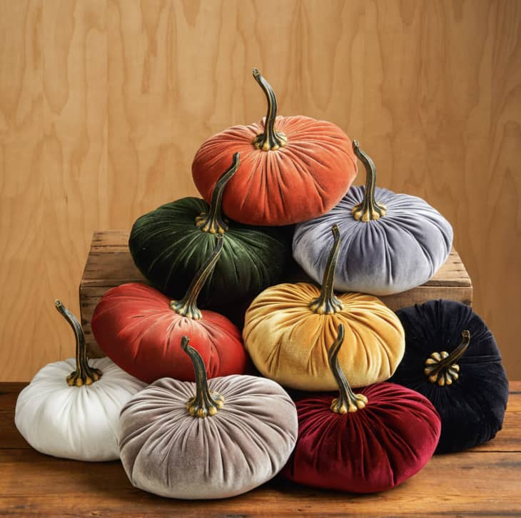 Etsy Fall Decor Under $100: Decorate Your Home on a Budget | Apartment Therapy