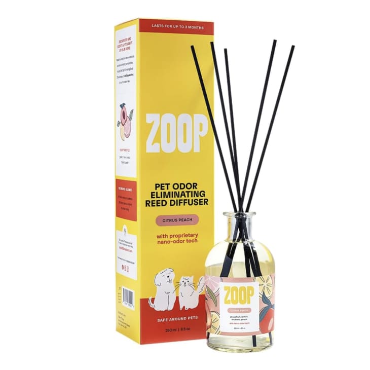 Best Editor-Picked Pet Products of 2023 for Cats, Dogs, and More ...