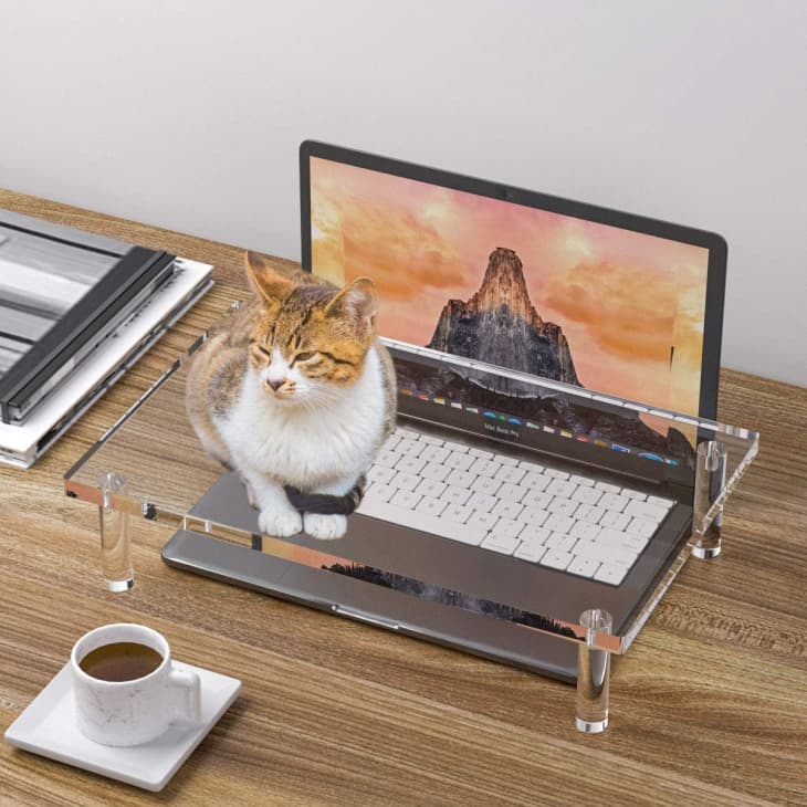 Amazon Acrylic Laptop Stand Review | Apartment Therapy