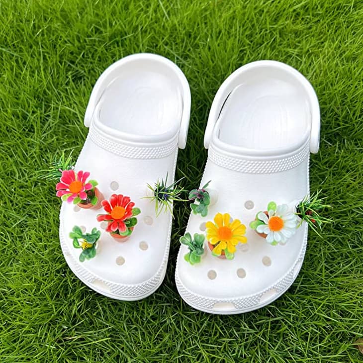 51 Best Gifts for Plant Lovers and Green Thumbs in 2022 | Apartment Therapy