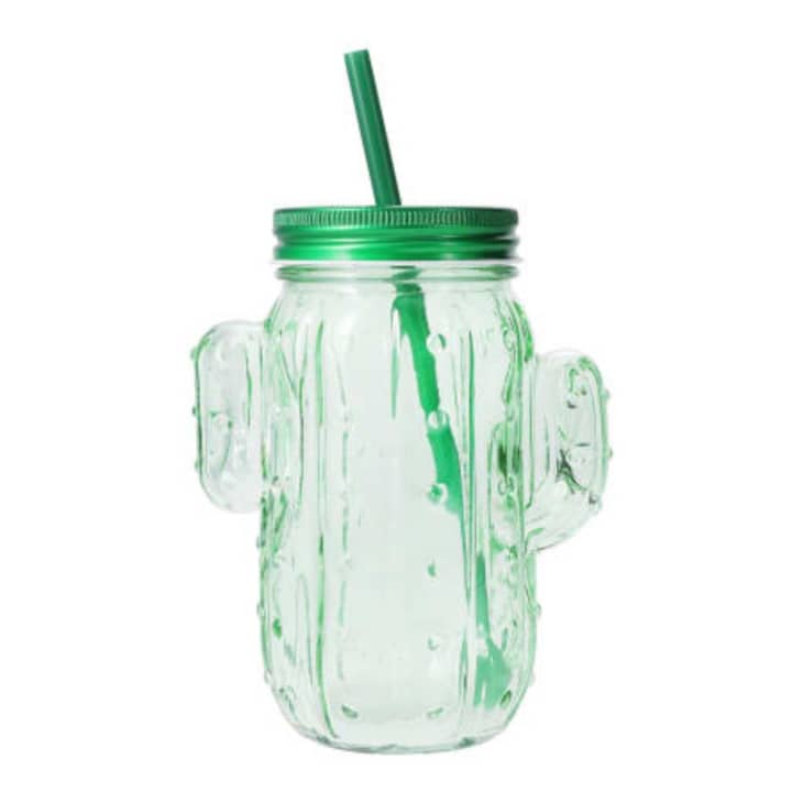 If You Spot These Adorable $5 Cactus Cups at HomeGoods, Grab 2 | The Kitchn