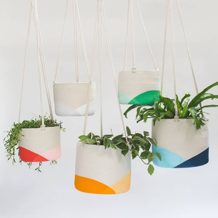 Best Stylish Indoor Hanging Planters 2021 Apartment Therapy