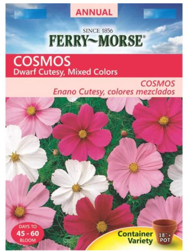 Oprah Winfrey Hawaiian Garden Tour | Apartment Therapy