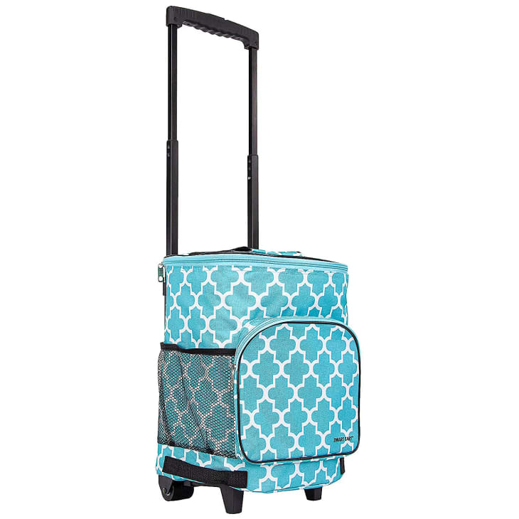 10 Best Foldable Shopping Carts for 2024 | Apartment Therapy