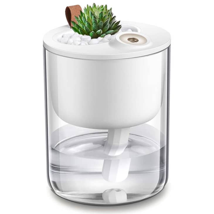 The Best WFH Solutions According to AT Editors | Apartment Therapy