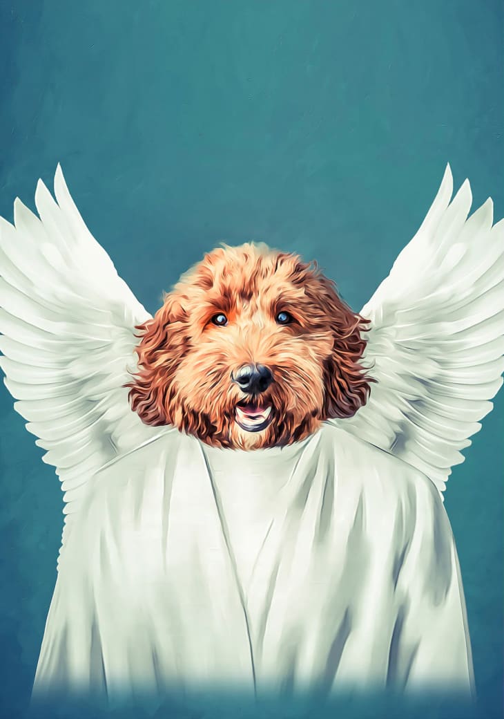 Snooki Will Make You Want to Get a Portrait of Your Cat | Apartment Therapy