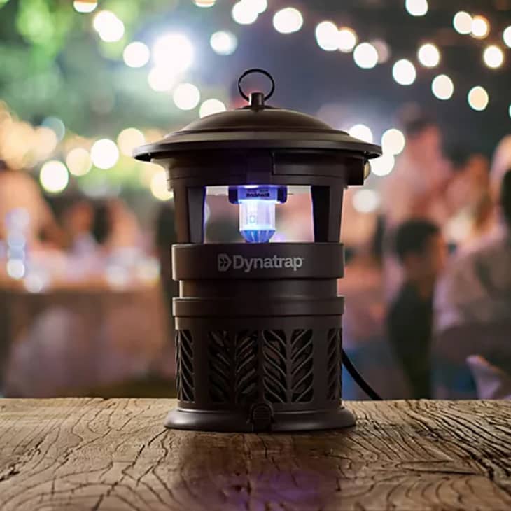 10 Best Outdoor Insect Traps 2024 | The Kitchn