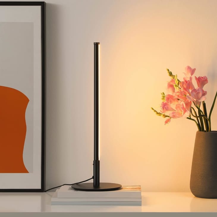 EDISHINE LED Table Lamp: Amazon Reviews | Apartment Therapy