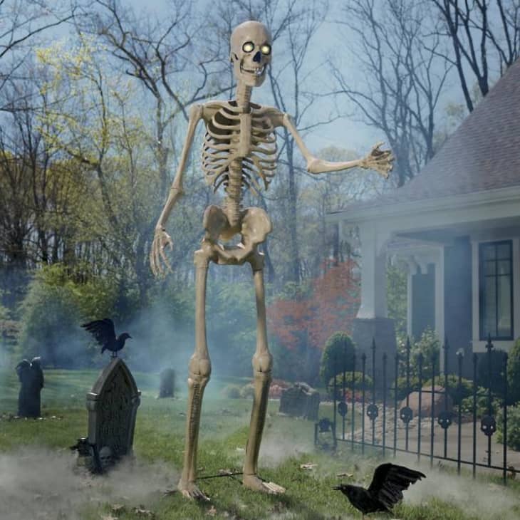Home Depot's Giant Skeleton Sold Out, But Here Are Three Spooky ...