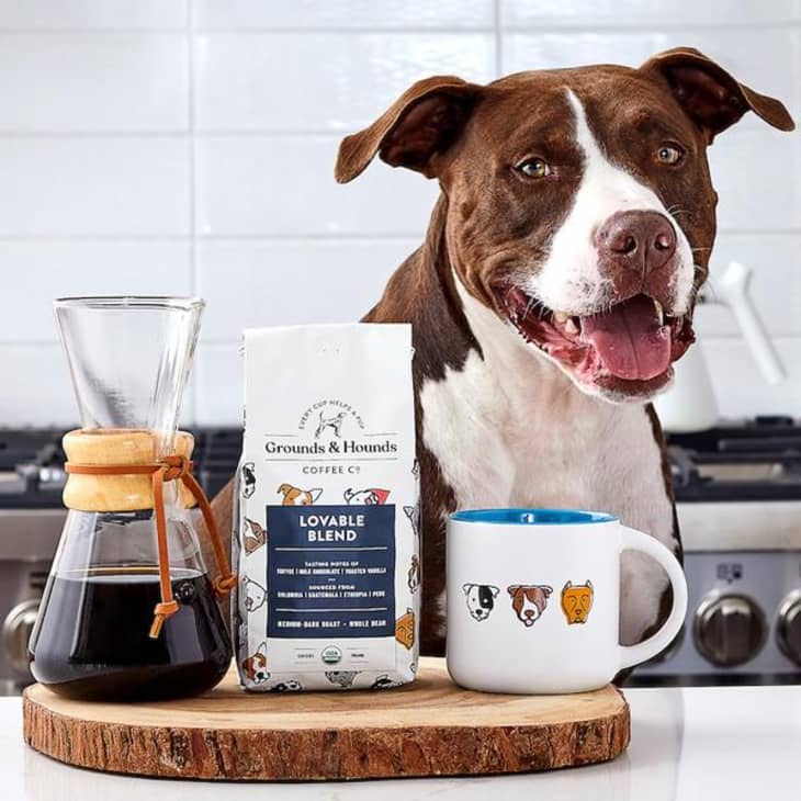 10 Best Coffee Subscription Services and Boxes 2023 | The Kitchn