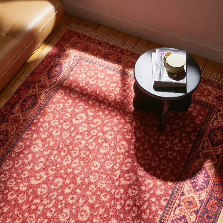 10 Best Dorm Rugs 2023: Cute, Soft, Trendy | Apartment Therapy