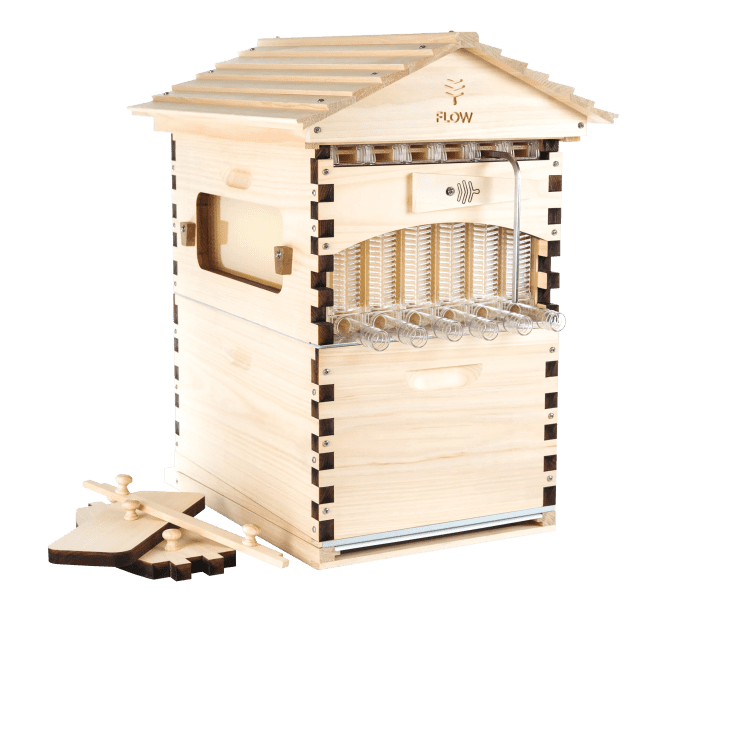 These Easy-to-Use Bee Houses Give You Honey on Tap | Apartment Therapy