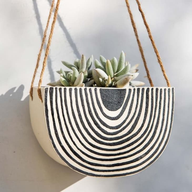 8 Best Stylish Indoor Hanging Planters 2023 Apartment Therapy