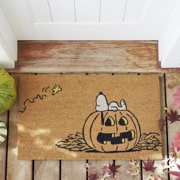 11 Best Halloween Doormats 2022: Coir, Light-Up, Spooky | Apartment Therapy