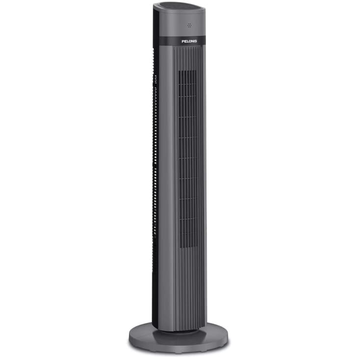 6 Best Tower Fans 2021 — Lasko, Vornado, Honeywell, & More | Apartment ...