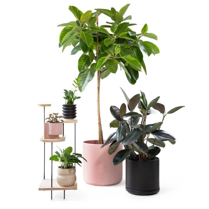 7 of the Best Small/Cool Products That You Can Score for $20 or Less ...
