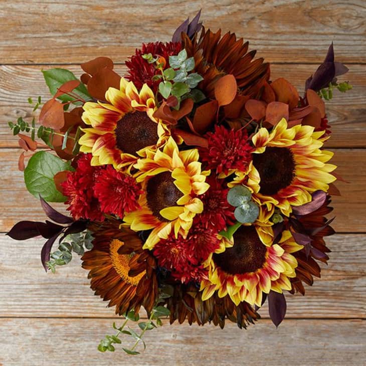 The Bouqs Fall Flower Collection Is the Chicest Way to Welcome In ...