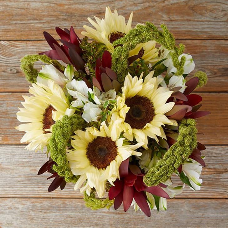 The Bouqs Fall Flower Collection Is the Chicest Way to Welcome In ...