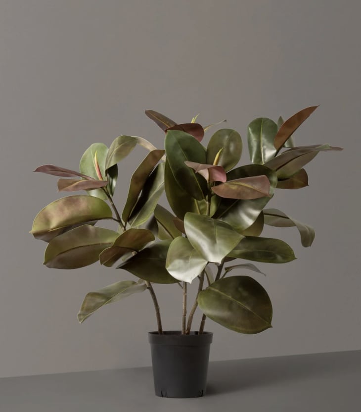 The Best Fake Plants of 2023, Tested By AT Editors | Apartment Therapy