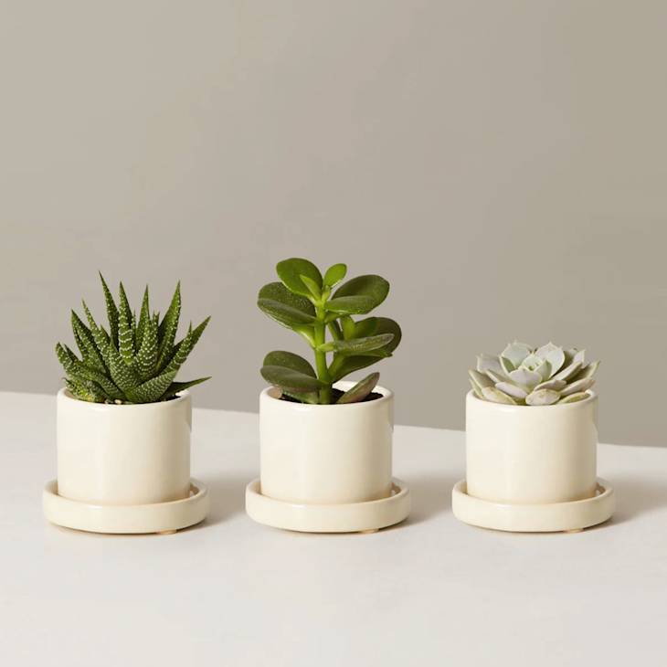 59 Minimalists Gifts (for People Who Keep Things Simple) | Apartment ...