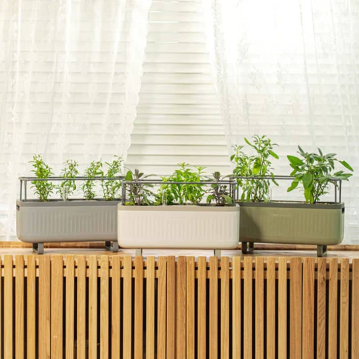 10 Best Indoor Herb Garden Planters 2024: Ceramic, High-Tech Kits | The ...