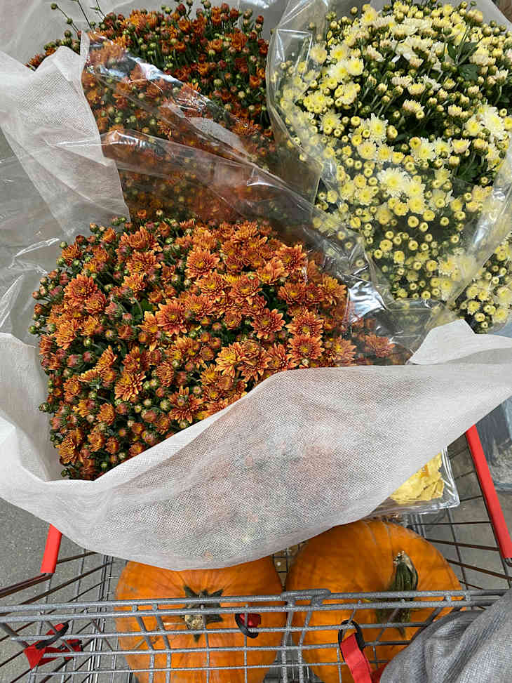 The $17 Costco Gem I Buy Every Fall (It’s Not Pumpkin Pie!) | The Kitchn