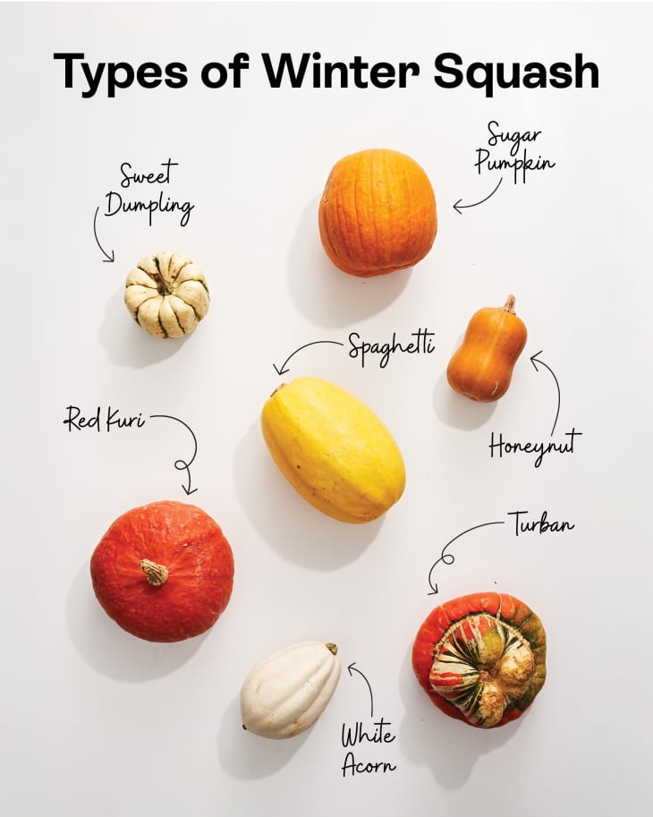 16 Types of Winter Squash You Need to Know | The Kitchn