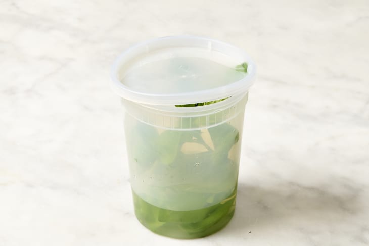 I Finally Found the Best Way to Store Basil So It Stays Fresh for Two ...