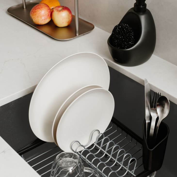 Sinkin Dish Rack: West Elm Reviews | The Kitchn