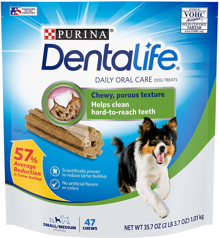Chewy Sale June 2020: Deals on Pet Food and Essentials | The Kitchn