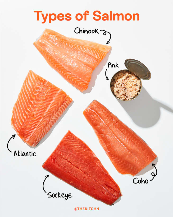 Types of Salmon: A Visual Guide to Wild and Farmed Salmon | The Kitchn
