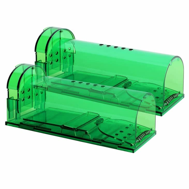 The Best Mousetraps on Amazon | The Kitchn