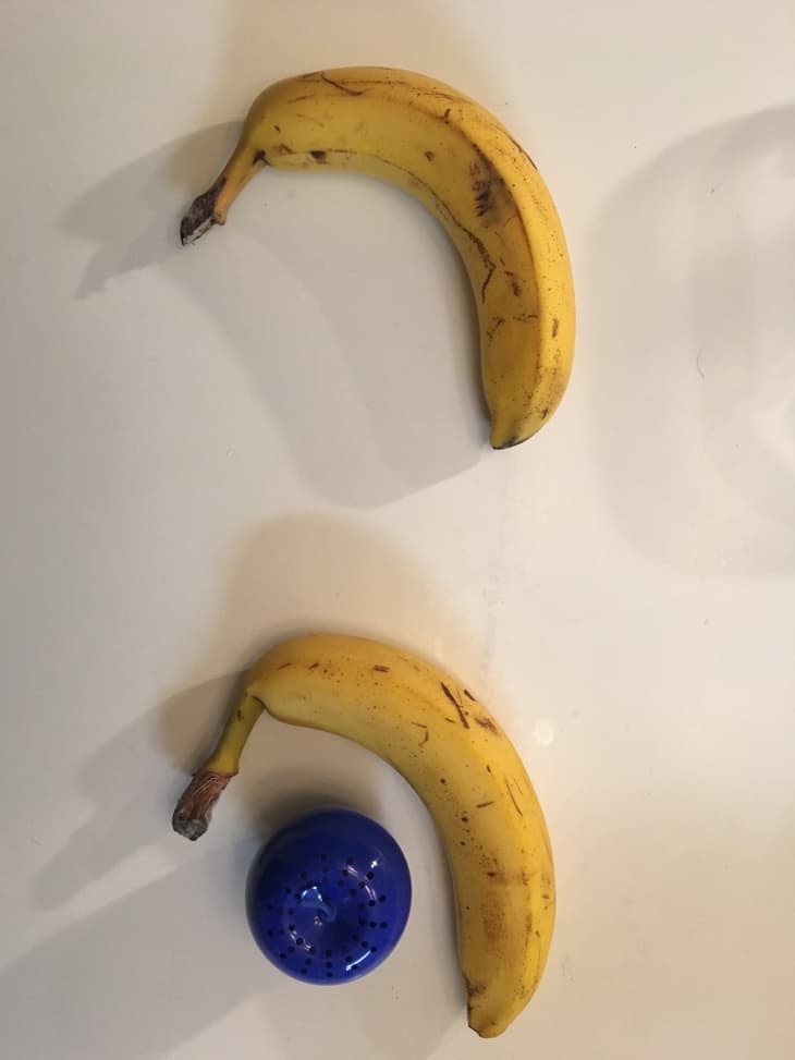 Bluapple Review - Fruits Vegetables Last Longer | The Kitchn