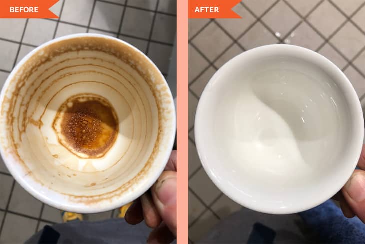 The Brilliant British Solution to Cleaner Coffee Mugs | Apartment Therapy