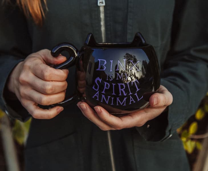 A New Binx the Cat Mug is Being Sold on Amazon | The Kitchn