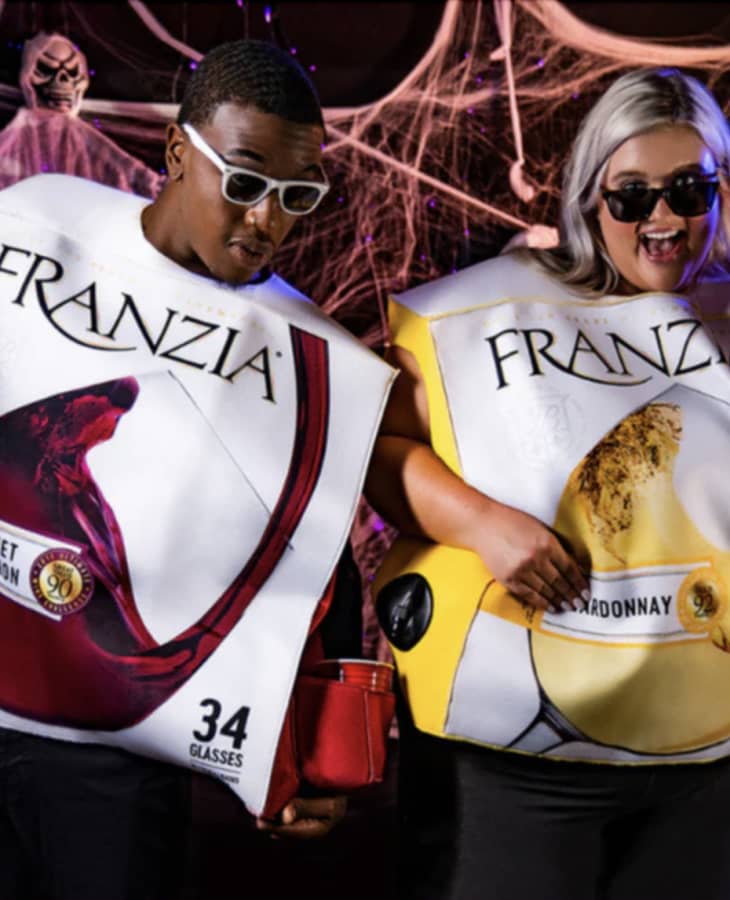 Franzia's Newest Boxed Wine Costume Was Made for Your Dog | The Kitchn