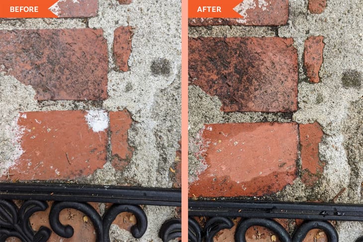 Easy Way to Clean Bird Poop Off Your Patio Pavers | The Kitchn